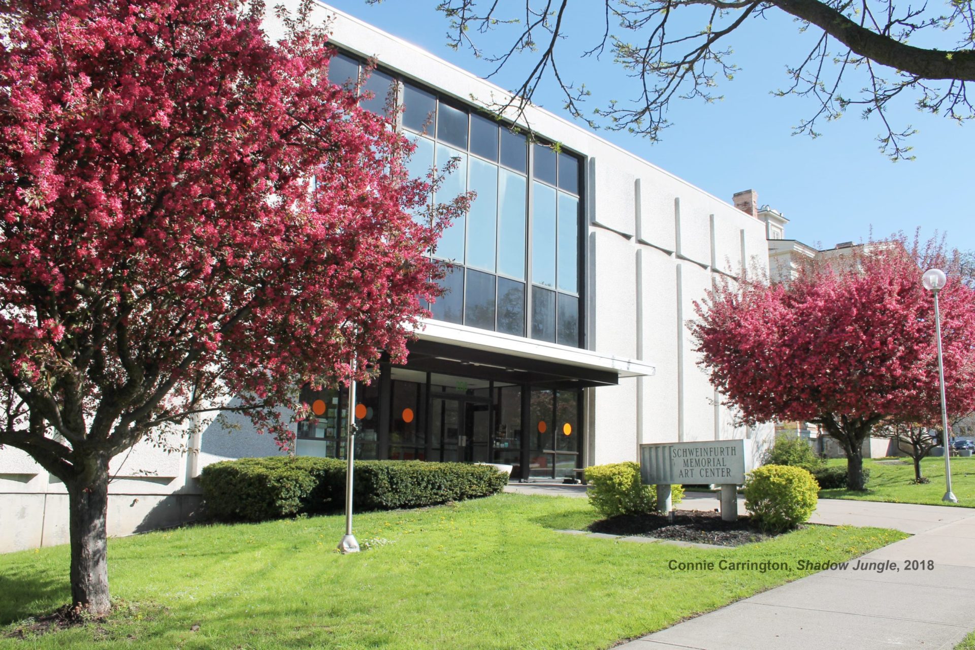 Visit - Schweinfurth Memorial Art Center