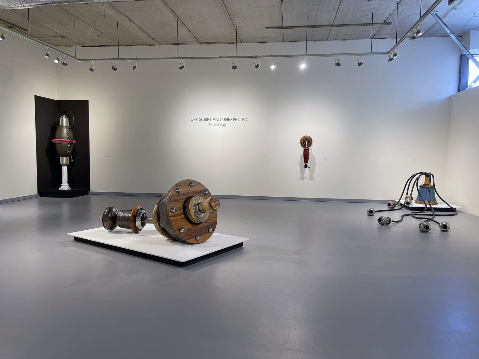 Rochester artist Lee Hoag returns to his roots in solo exhibition ...